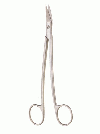 Dean Gum Scissor 17cm - | Surgical Instruments | Dental Instruments ...